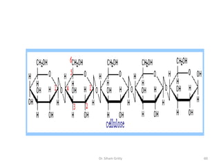 Complex Carbohydrates Molecule