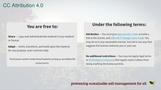 Soil Information System for Latin America and the Caribbean SISLAC ...