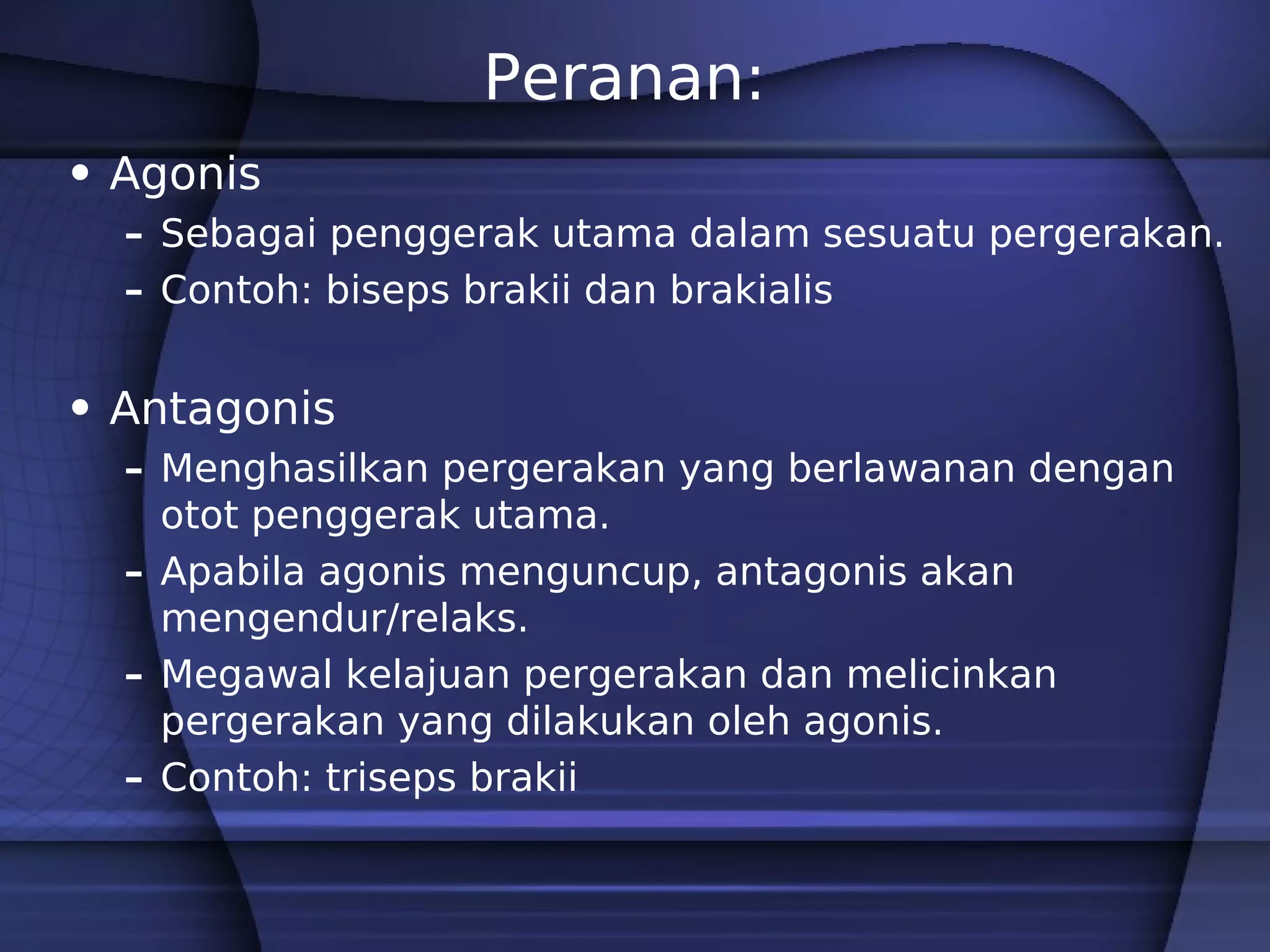 3 sistem-otot-tingkatan-4 | PDF