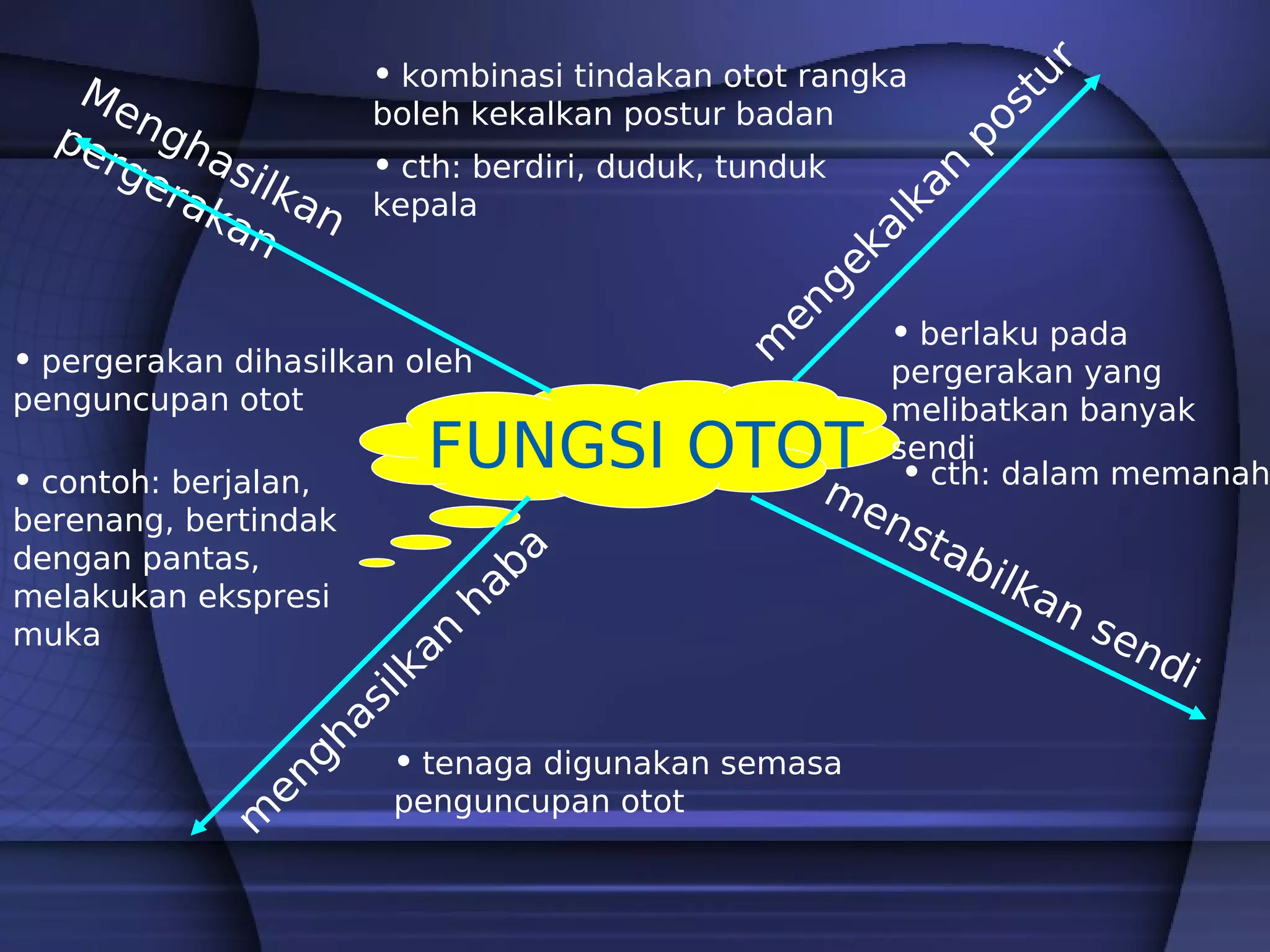 3 sistem-otot-tingkatan-4 | PDF
