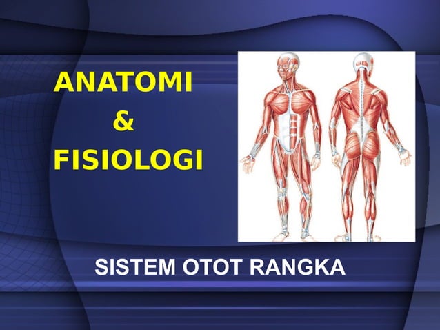 3 sistem-otot-tingkatan-4 | PDF