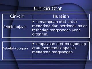 3 sistem-otot-tingkatan-4 | PDF