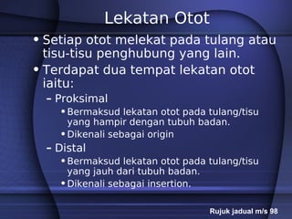 3 sistem-otot-tingkatan-4 | PDF