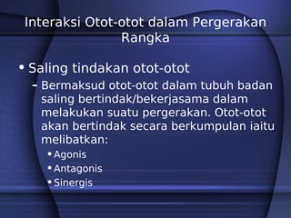 3 sistem-otot-tingkatan-4 | PDF