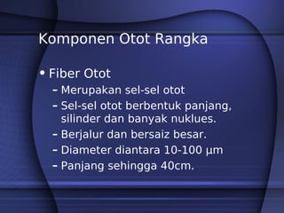 3 sistem-otot-tingkatan-4 | PDF