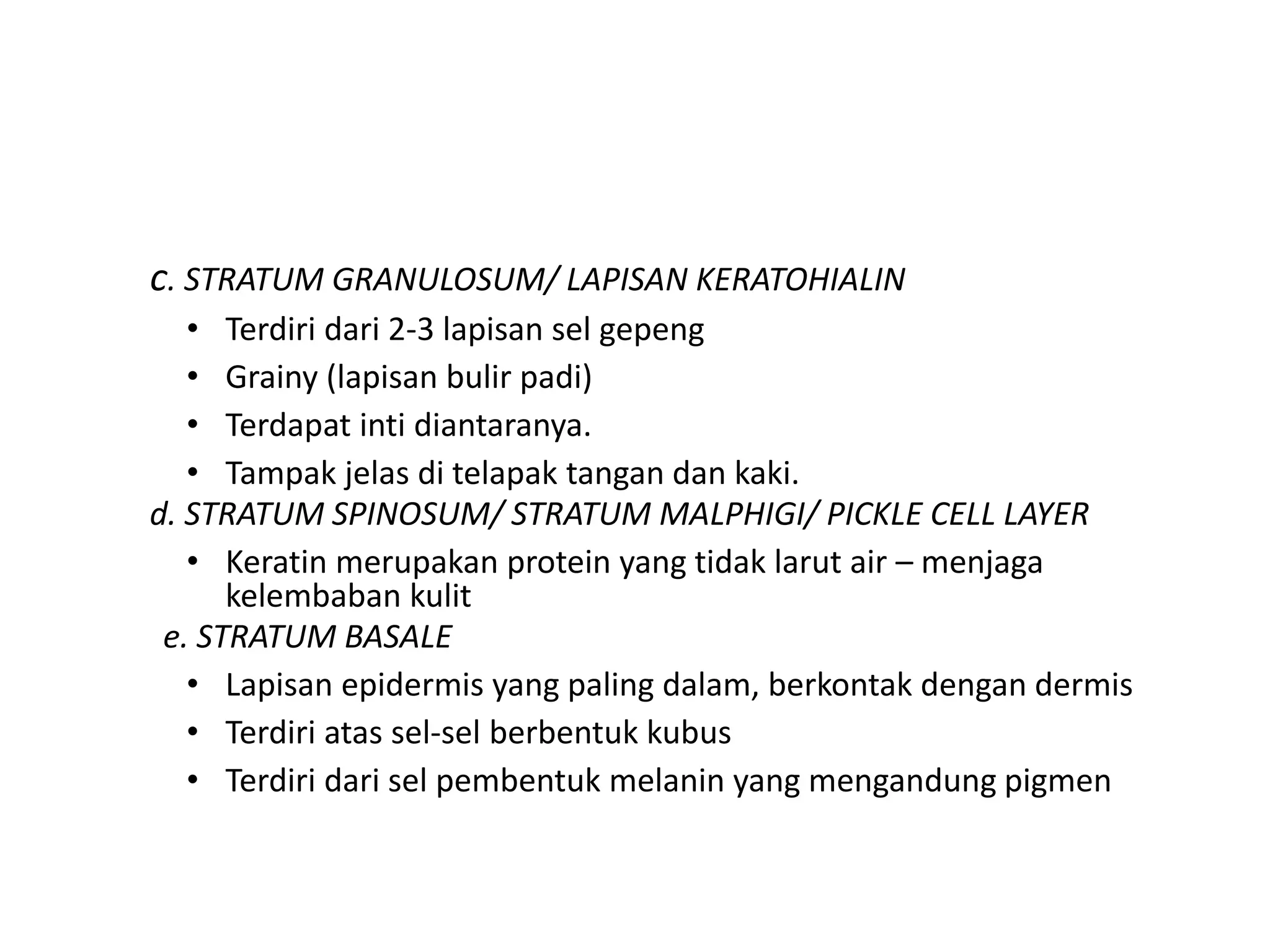 Sistem Integumen | PPTX