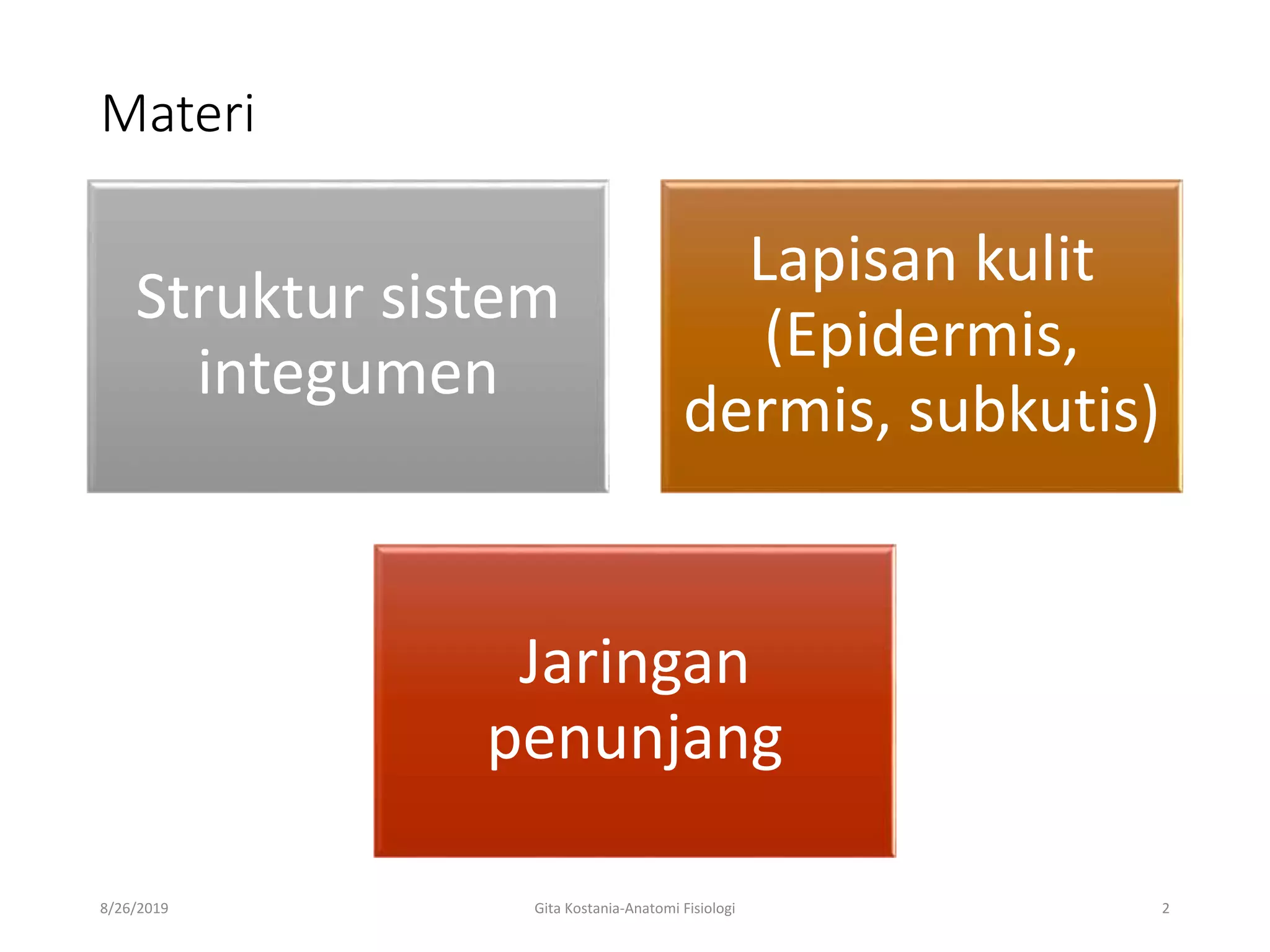 Sistem Integumen | PPTX