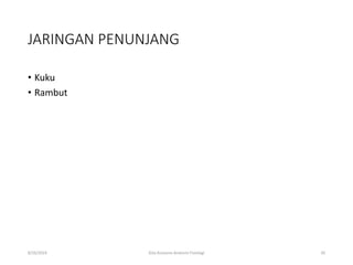 Sistem Integumen | PPTX