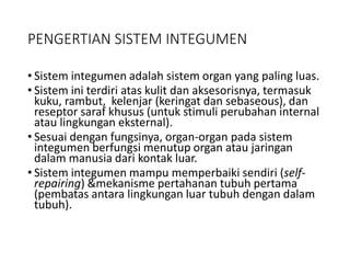 Sistem Integumen | PPTX