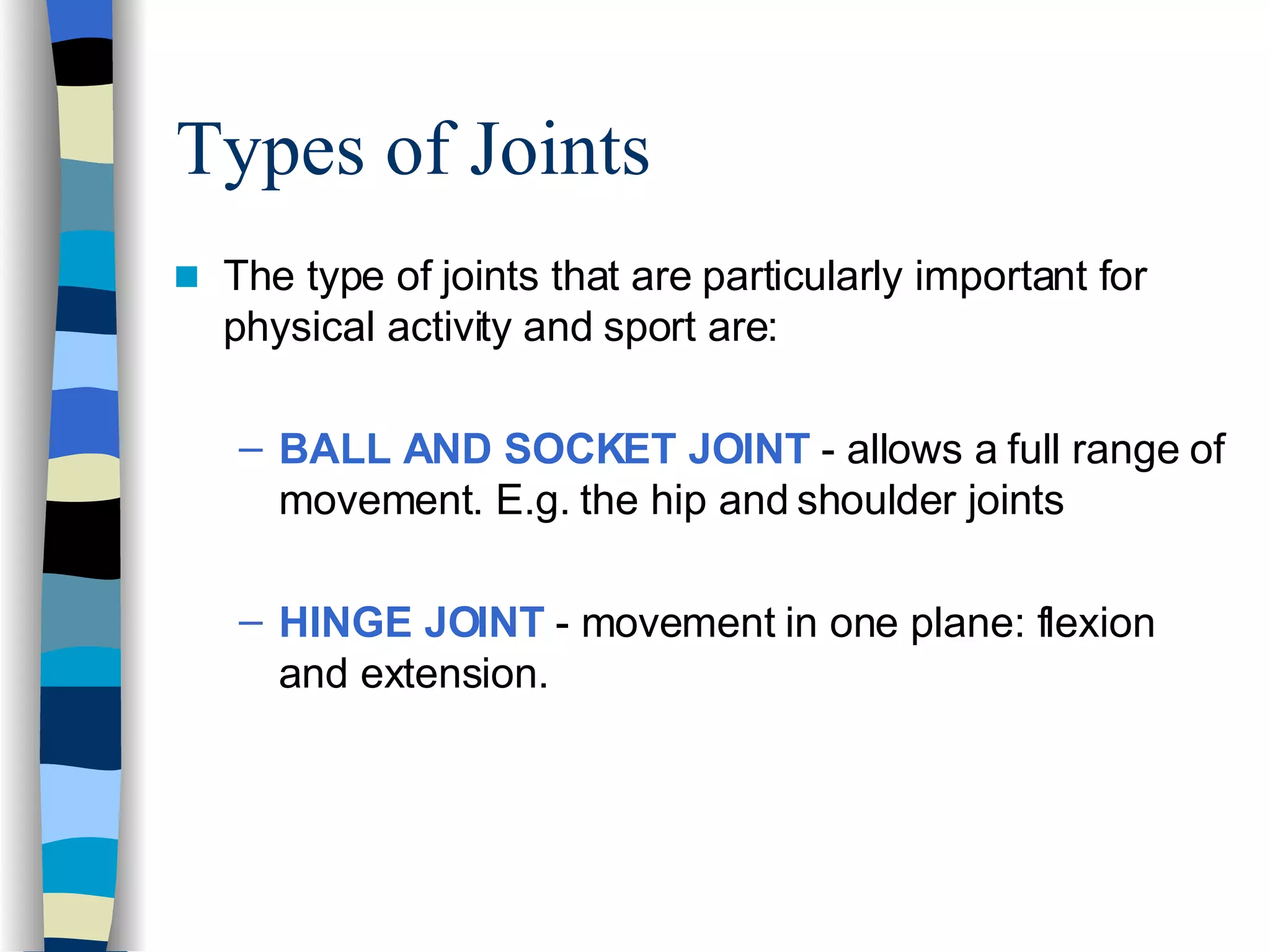 3 Skeleton, Joints, Muscles, Circulatory + Respiratory Sys | PPT