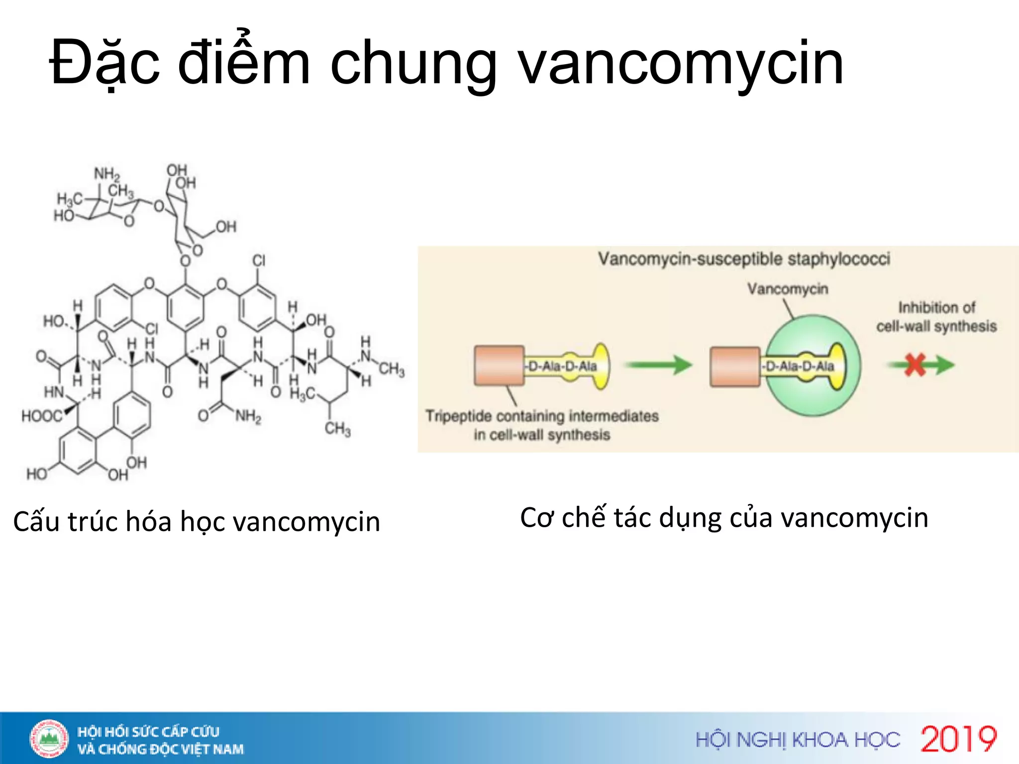 tối ưu chế độ liều vancomycin trên bệnh nhân nặng thông qua truyền dịch ...