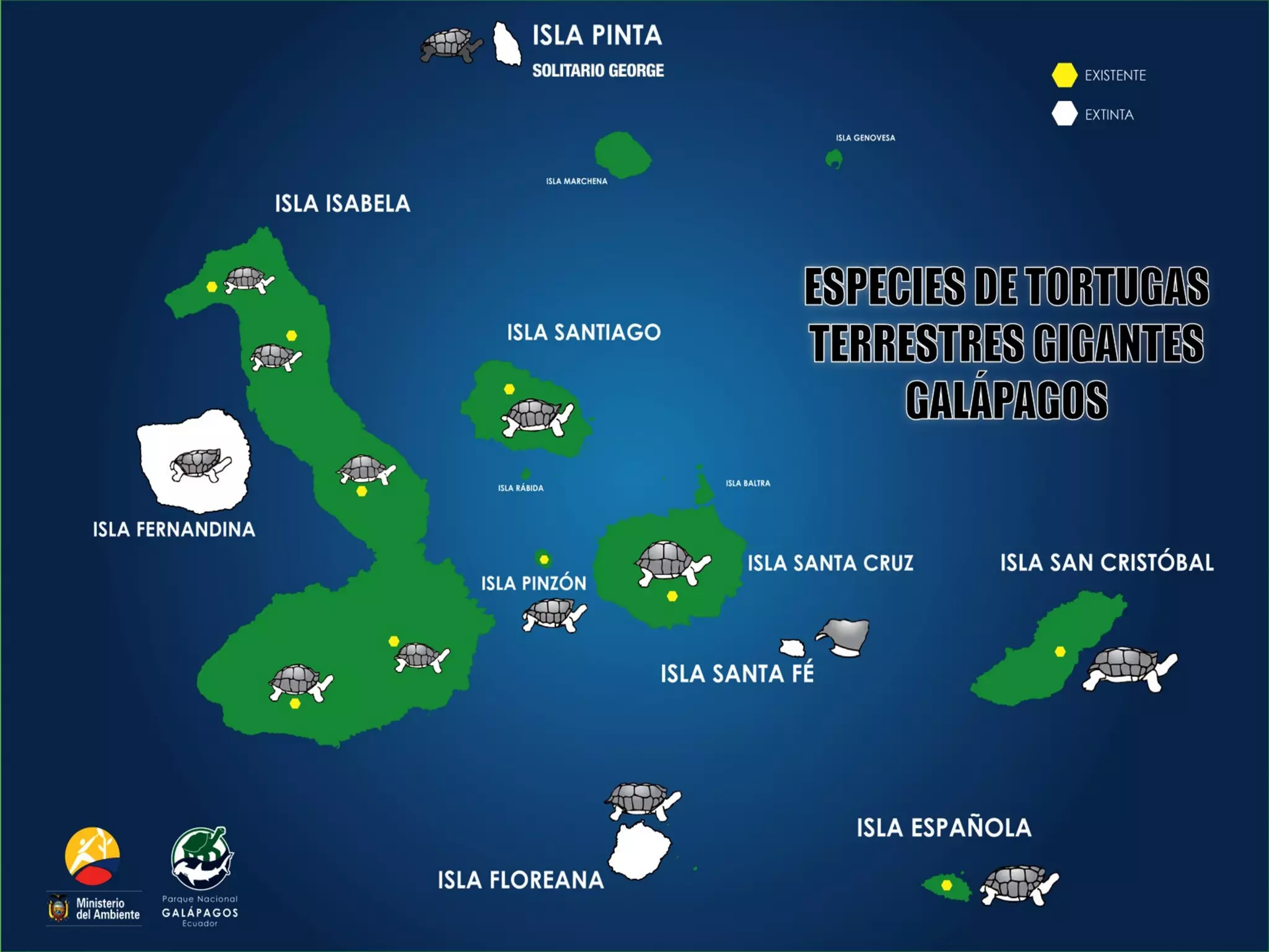 3. solitario george | PPT