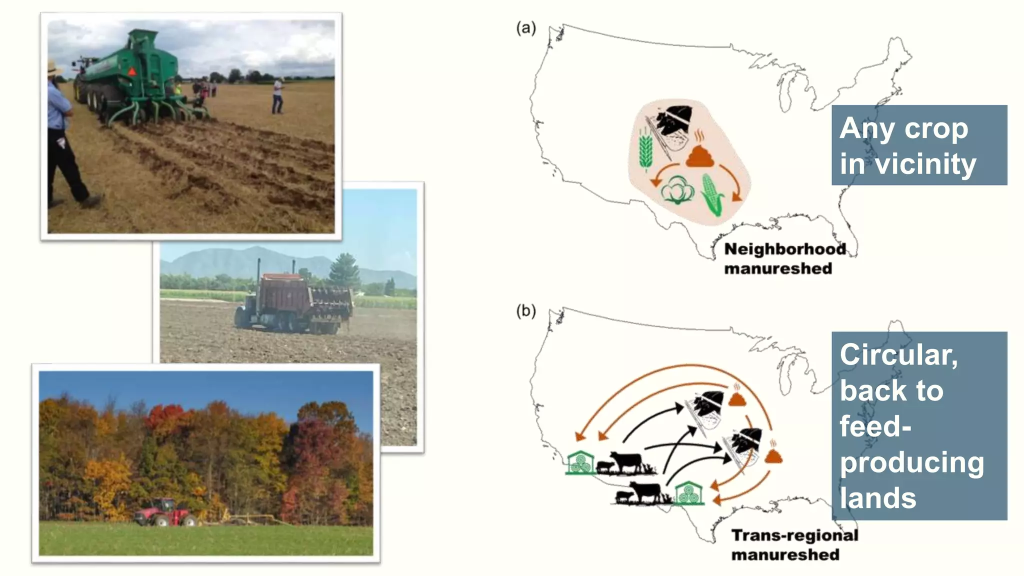 Recycling Nutrients in the Beef Supply Chain through Circular ...