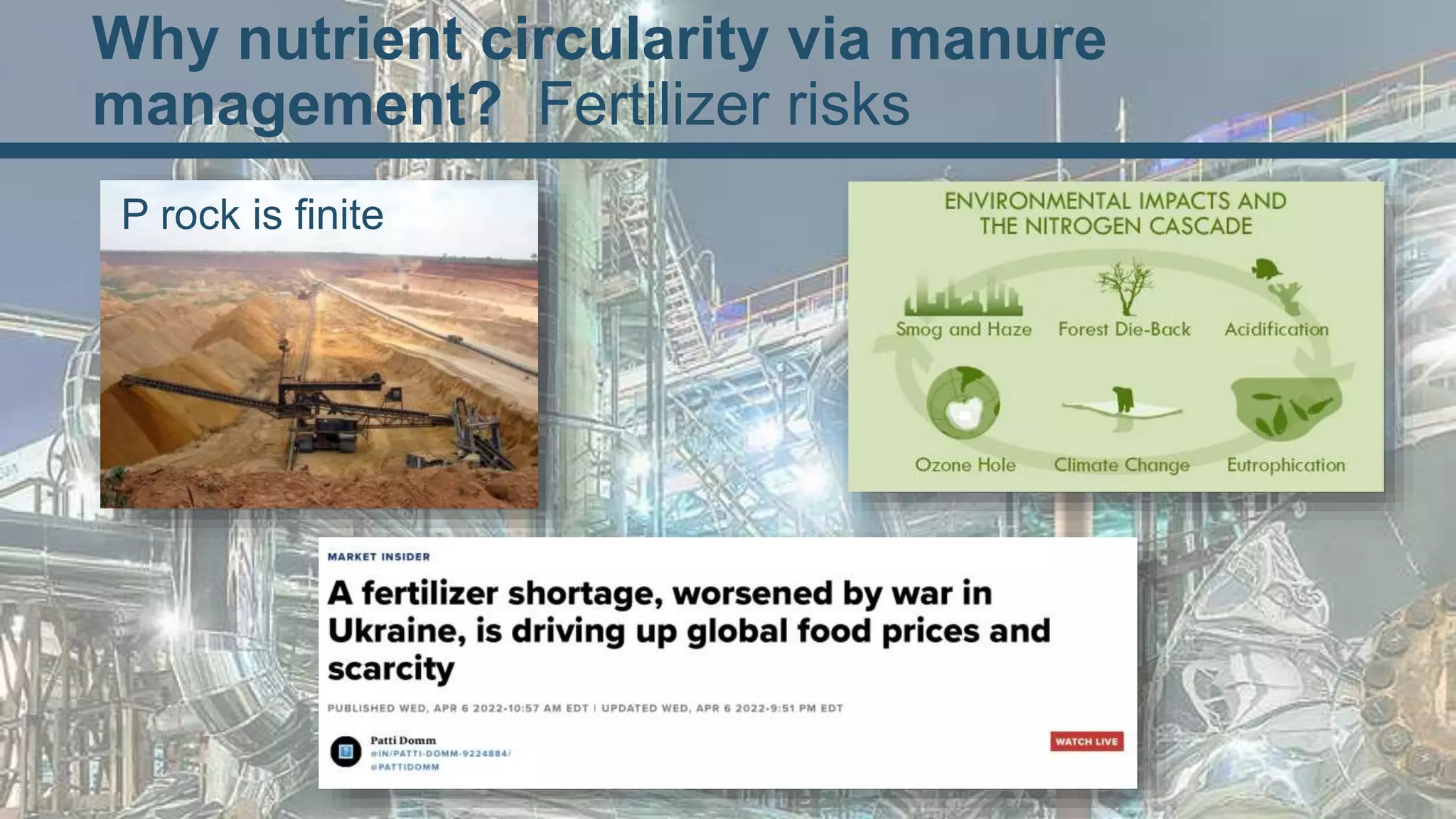 Recycling Nutrients in the Beef Supply Chain through Circular ...