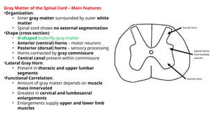 3- Spinal Cord (Ascending and Descending Tracts).pptx