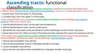3- Spinal Cord (Ascending and Descending Tracts).pptx