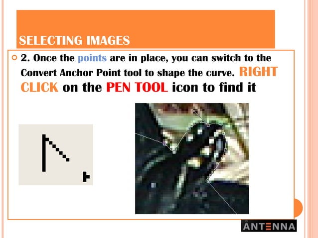 3 step photoshop basics pen tool | PPT