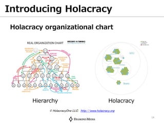 3 steps to implement holacracy in your company | PDF