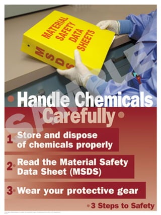 3 steps-to-safety-poster-series | PDF