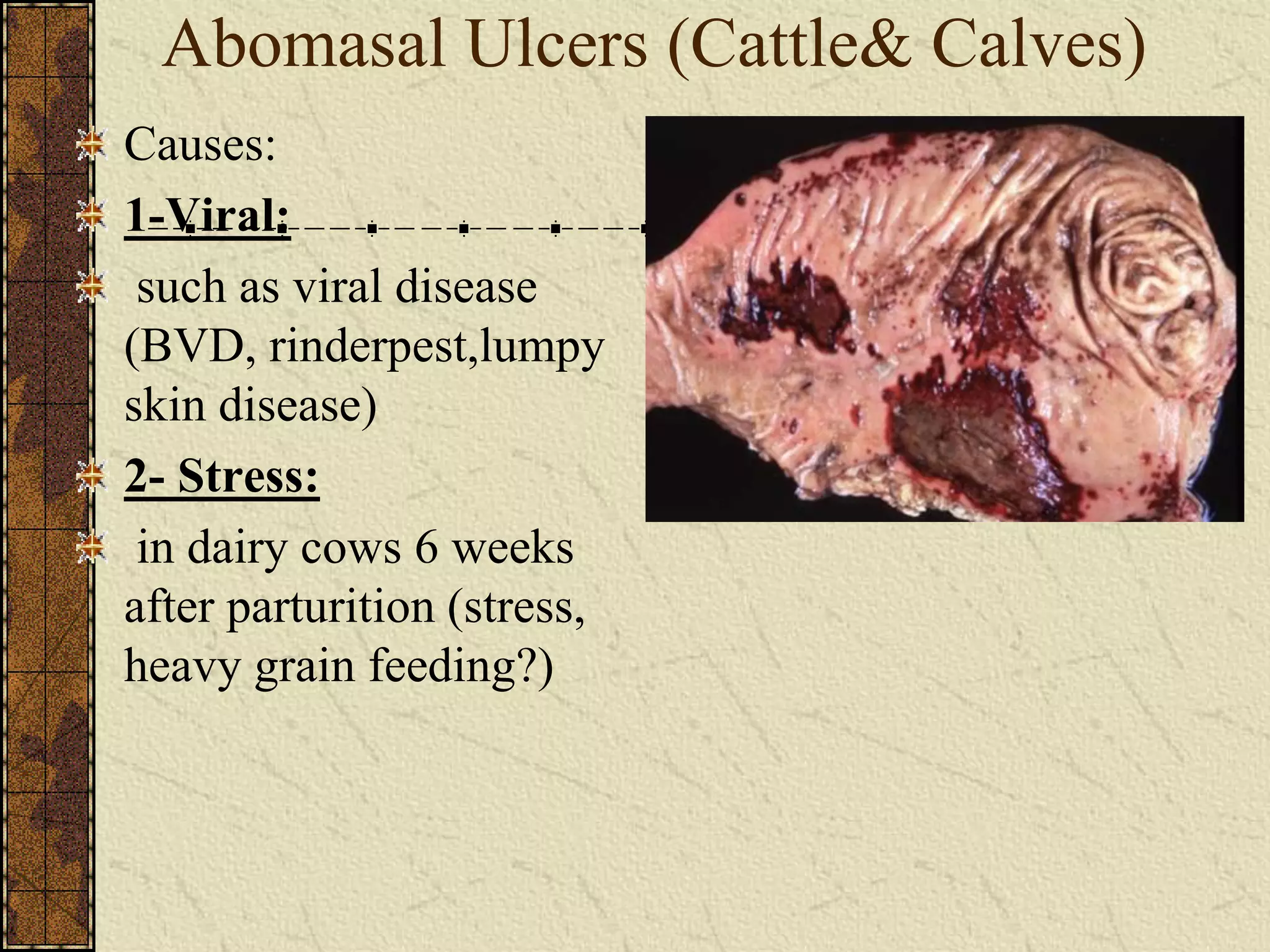 affections of stomach in pet animals | PDF