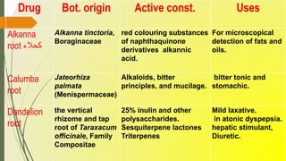 Ginseng, RAUWOLFIA, SARSAPARILLA, Alkanna, Calumba and Dandelion | PPTX