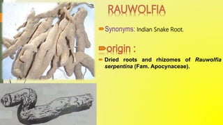 Ginseng, RAUWOLFIA, SARSAPARILLA, Alkanna, Calumba and Dandelion | PPTX