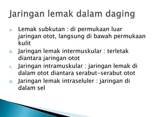 3. susunan daging | PPTX
