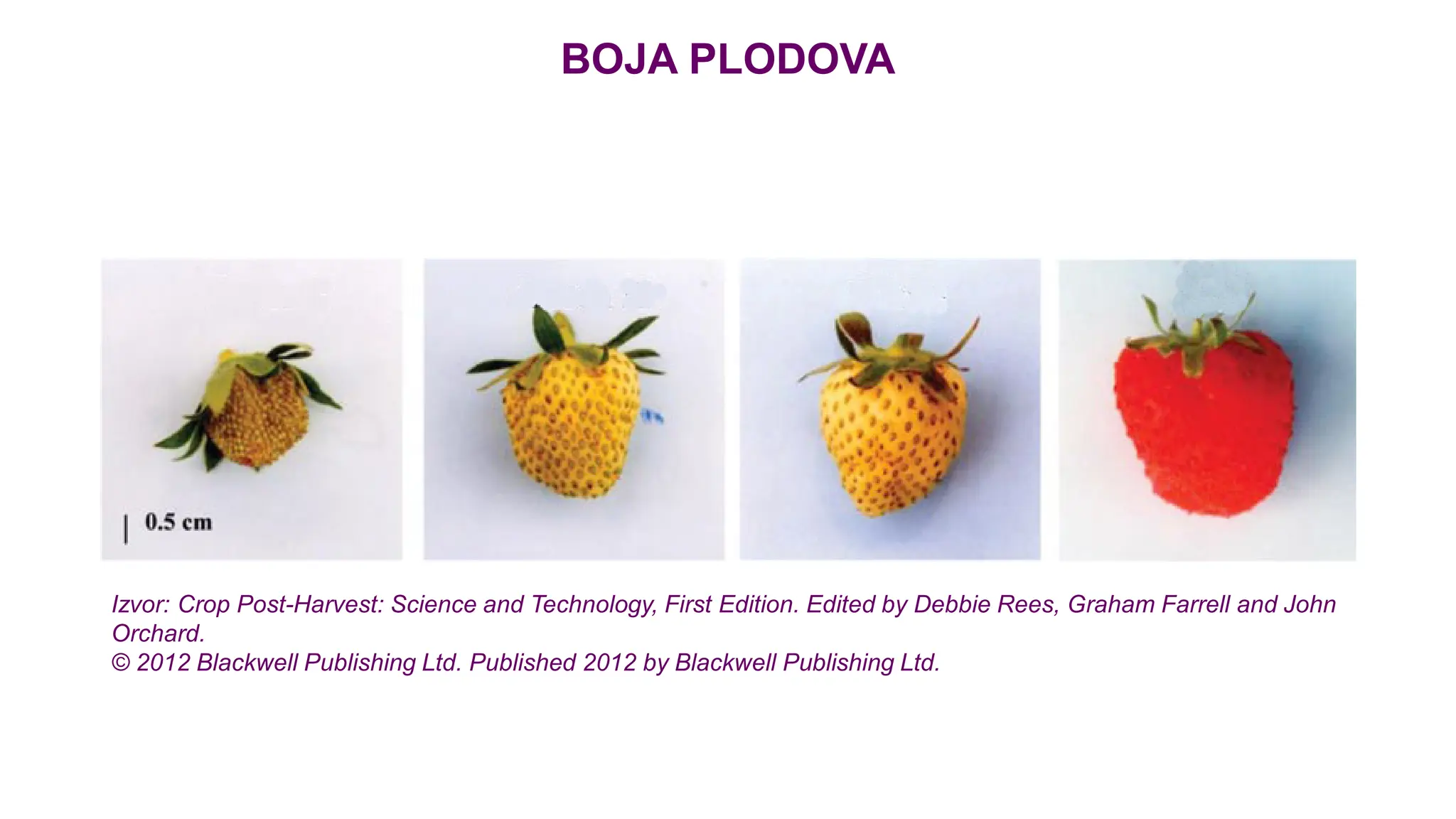 3 - Tehnološka svojstva voca i povrca.pdf