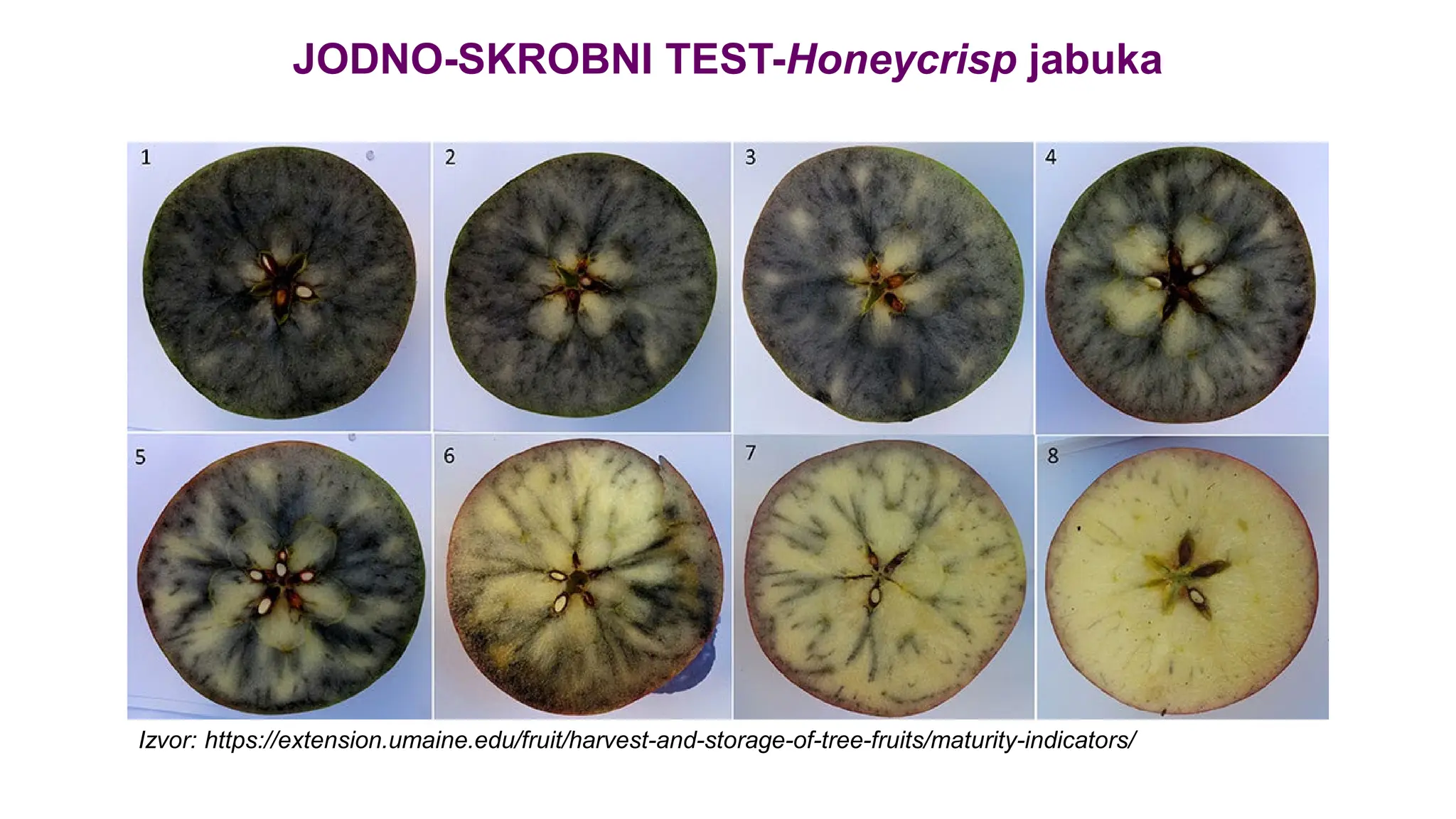 3 - Tehnološka svojstva voca i povrca.pdf