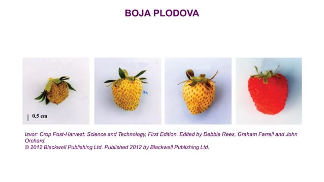 3 - Tehnološka svojstva voca i povrca.pdf