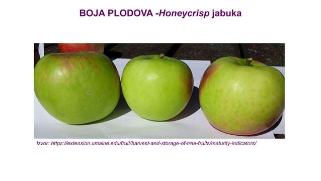 3 - Tehnološka svojstva voca i povrca.pdf