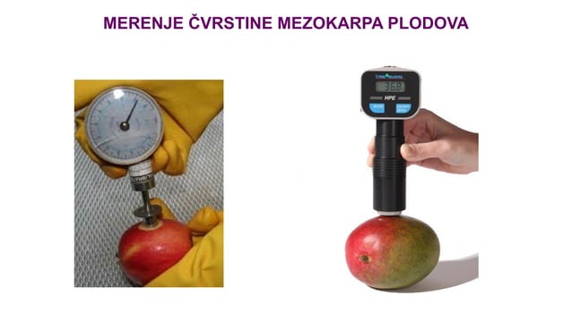 3 - Tehnološka svojstva voca i povrca.pdf