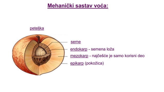 3 - Tehnološka svojstva voca i povrca.pdf