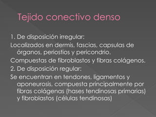 3-Tejido Conectivo. clase de histologia. | PPTX