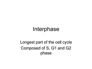 focused notes of the cell cycle, mitosis and meiosis | PPT