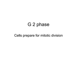 focused notes of the cell cycle, mitosis and meiosis | PPT