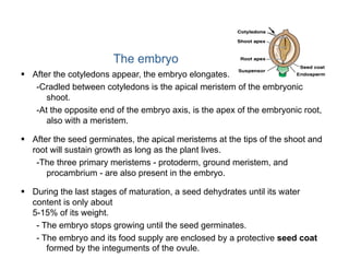 Lesson 2 bio101 (c)Dr. Evangelista | PDF | Gardening | Home & Garden