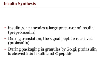 3-The Endocrine Pancreas.ppt