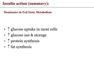 3-The Endocrine Pancreas.ppt