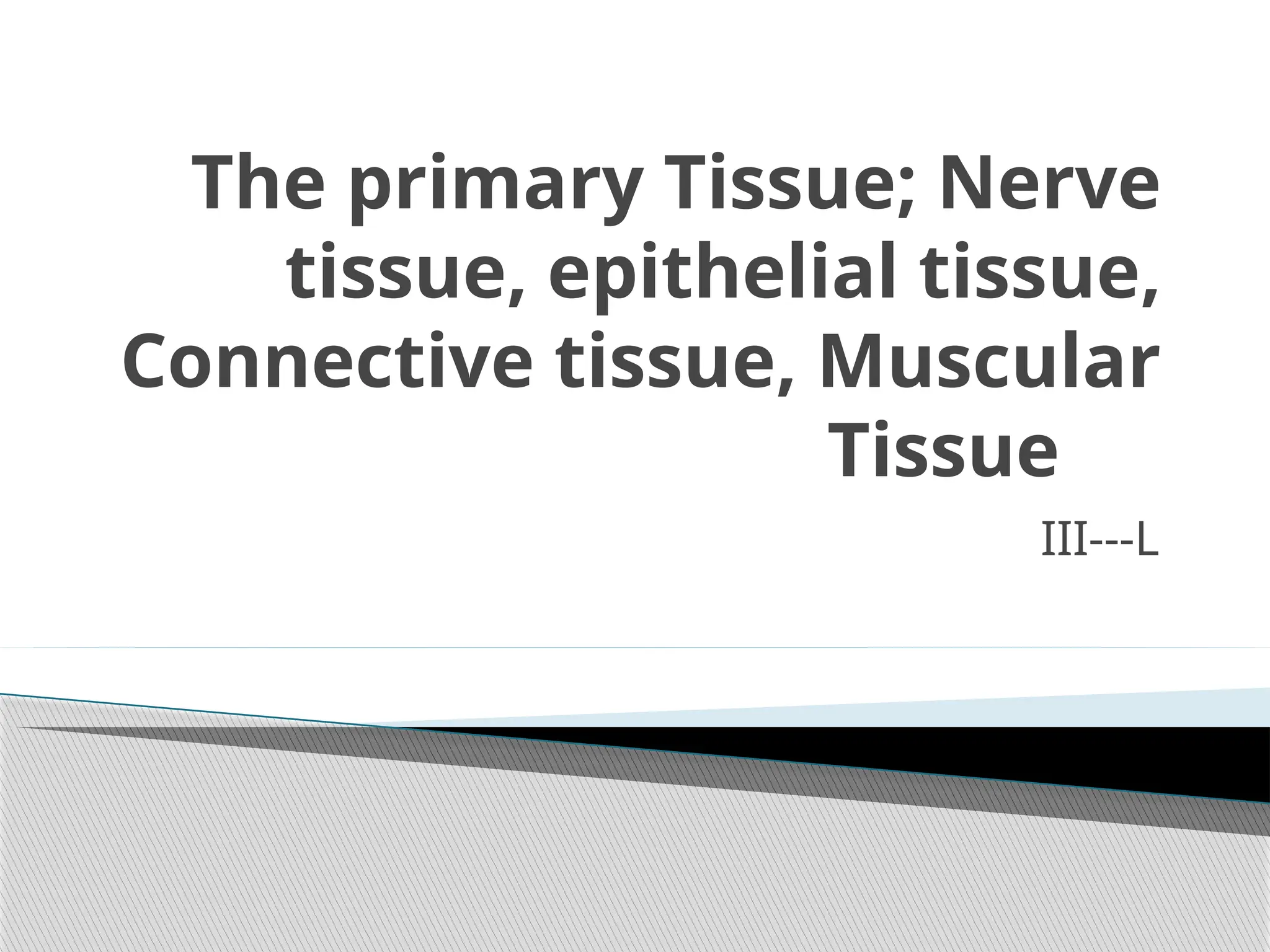 3-The primary Tissue; Nerve tissue, epithelial tissue, Connective ...