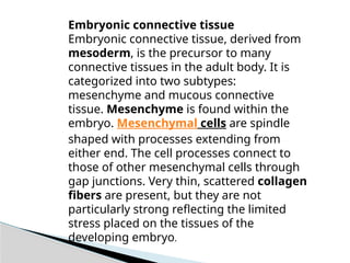 3-The primary Tissue; Nerve tissue, epithelial tissue, Connective ...
