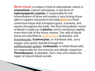 3-The primary Tissue; Nerve tissue, epithelial tissue, Connective ...