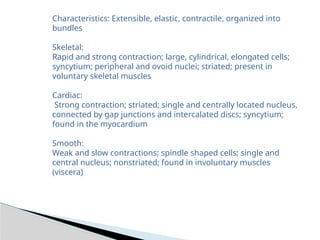 3-The primary Tissue; Nerve tissue, epithelial tissue, Connective ...
