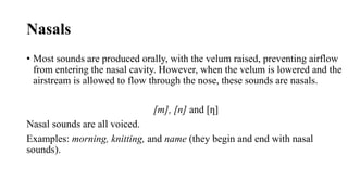 3- The sounds of language Chapter 3.pptx