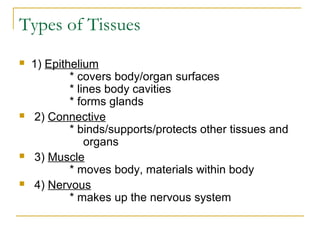 3 Tissues | PPT