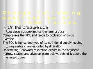 3. tooth movement | PPT | Dental Health | Diseases and Conditions