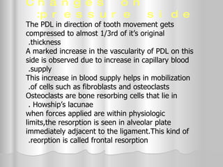 3. tooth movement | PPT | Dental Health | Diseases and Conditions