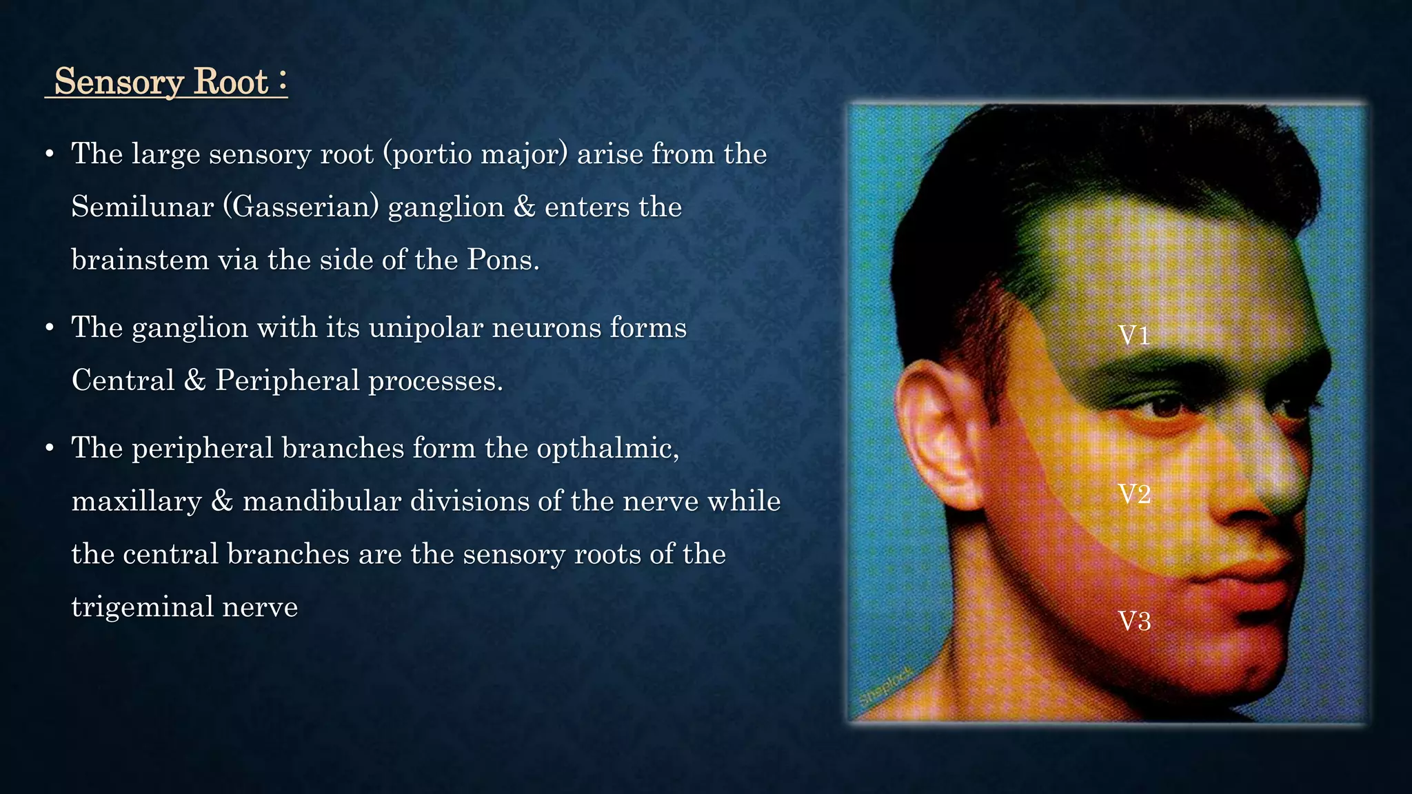 Trigeminal nerve and its course | PPTX