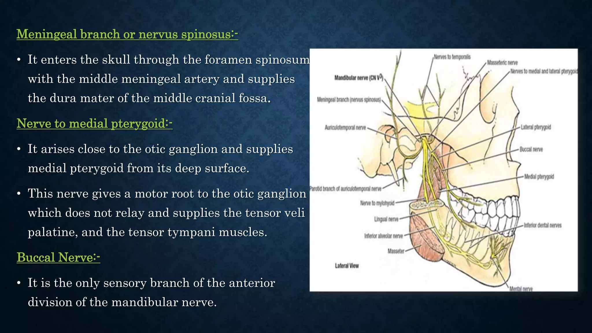 Trigeminal nerve and its course | PPTX