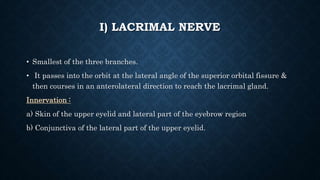 Trigeminal nerve and its course | PPTX